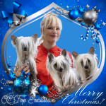 Psi s rodovnicom | Prodaja pasa s rodovnikom - Njuškalo