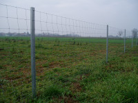 Metalni stupovi - Njuškalo