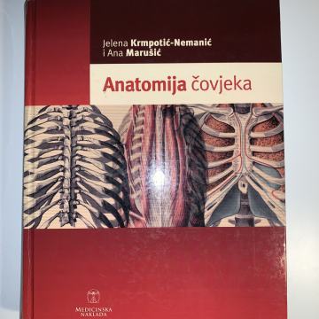 Anatomija čovjeka