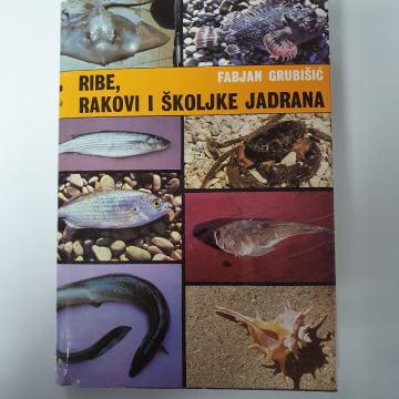 Glavonošci, puževi i školjke Jadrana