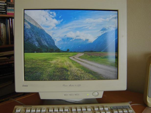 Monitor 19 iiyama Vision Master Pro 450