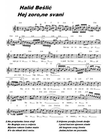 NOTE - DOMAĆA, NARODNA, KOLA, INSTRUMENTALI