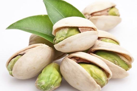 PISTACIA - Pistacija - Pistacia vera - SADNICE