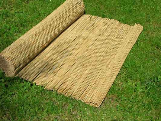 Pletivo od trske, trska, trstika