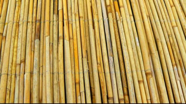 TRSKA - TRSTIKA - KOLCI ZA POTPORANJ VOĆKAMA I POVRĆU