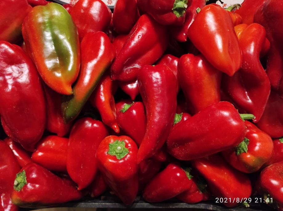 Crvena rog paprika