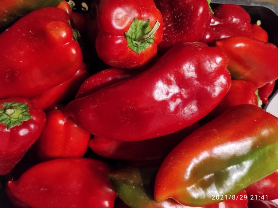Crvena rog paprika