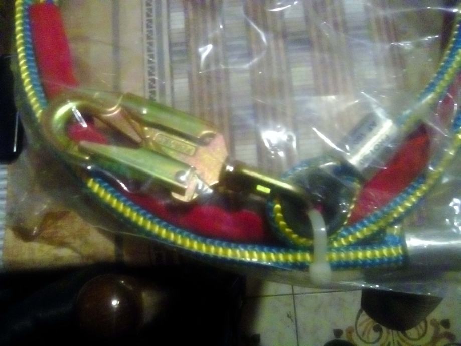 Petzl Pro traxion p51