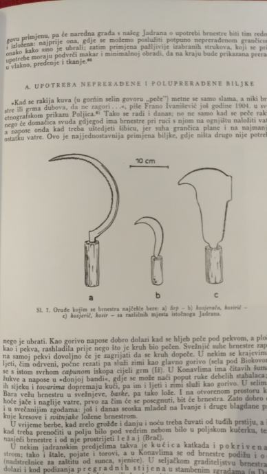 Brnestra Andrija Stojanović