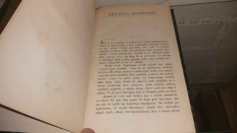 Edhem Mulabdić: Zeleno busenje, 1898.