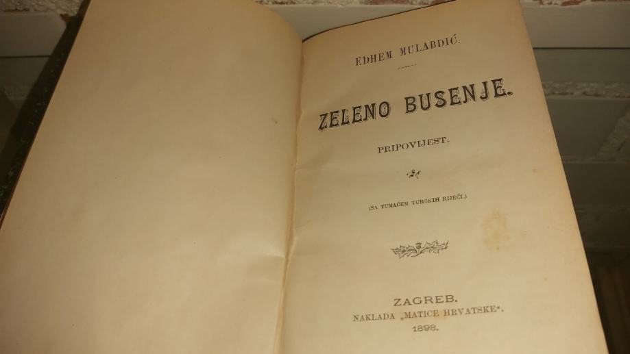 Edhem Mulabdić: Zeleno busenje, 1898.