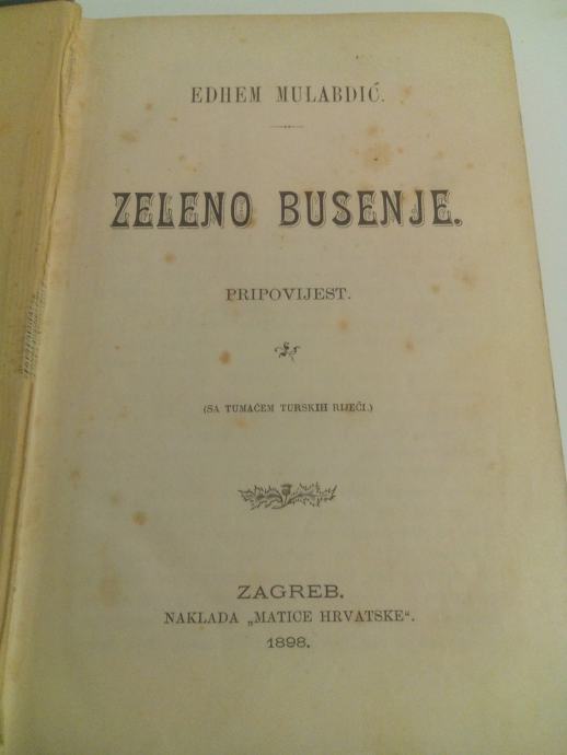 Edhem Mulabdić : Zeleno busenje