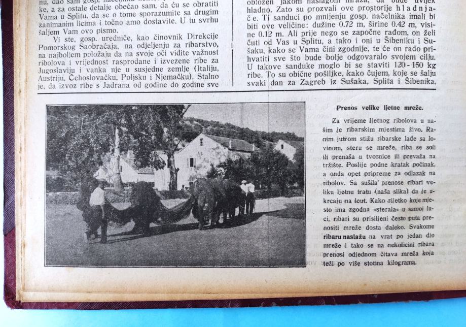 JADRANSKI RIBAR (1937) kompletno godište svih 12. brojeva * Ribarstvo