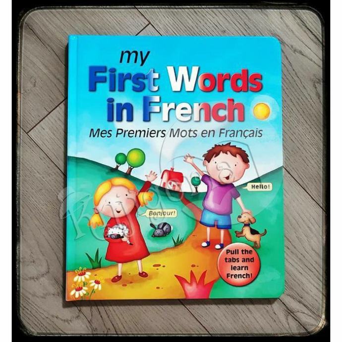 Pull the Tab: My First Words in French Sally Delaney