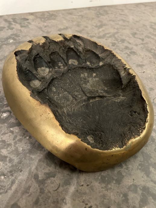 MEDVJEĐA ŠAPA U BRONCI