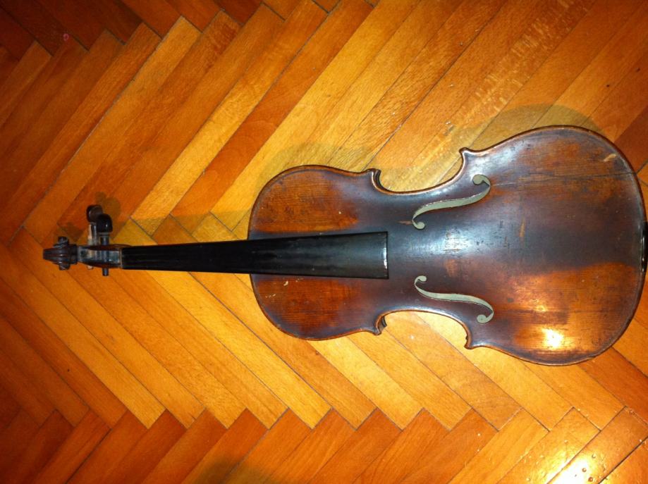 Violina