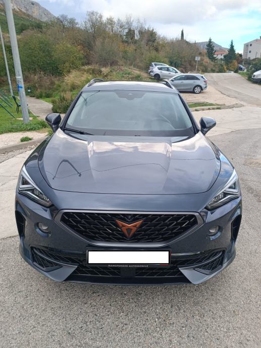 Cupra Formentor 2,0 TDI, 2022 god.