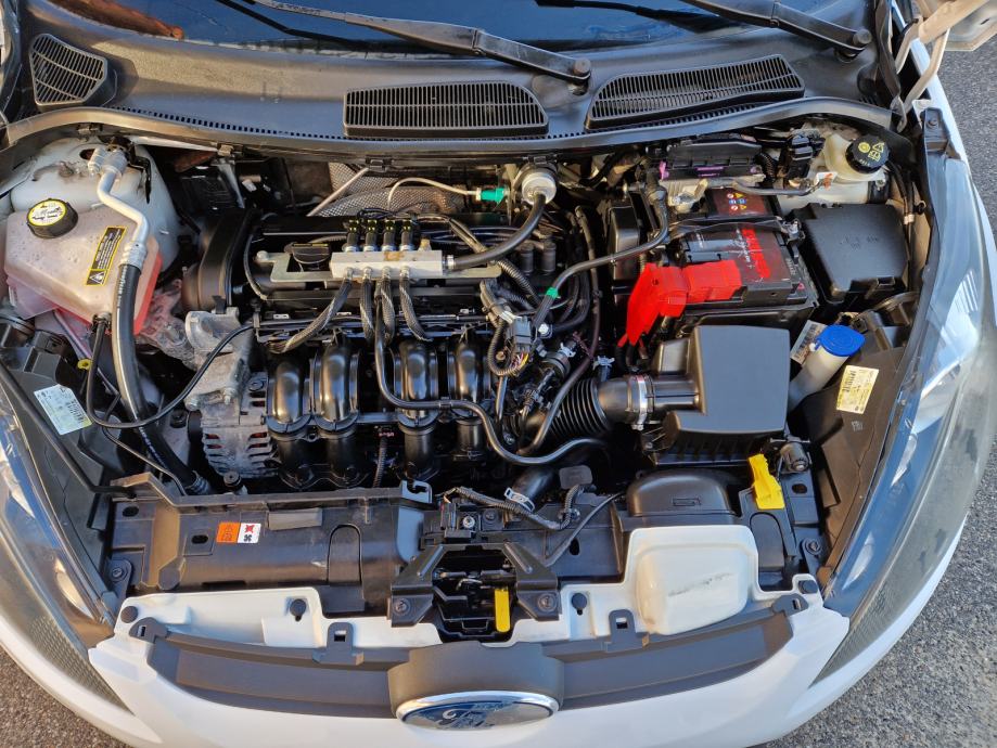 Ford Fiesta 1,4 16V Benzin+Plin,Na ime kupca, 2010 god.