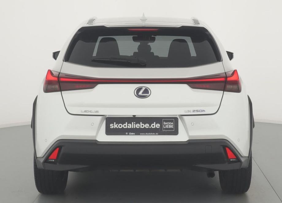Lexus UX UX 250h*svojim kamionima uvozimo - do registracije*, 2020 god.