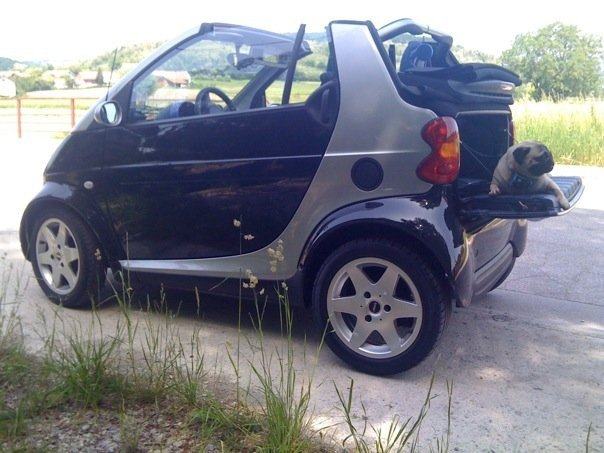 Smart fortwo cabrio 450 automatik, 2001 god.