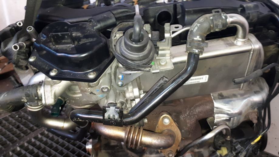EGR AUDI A4 (B8) > 07-11 03L131512