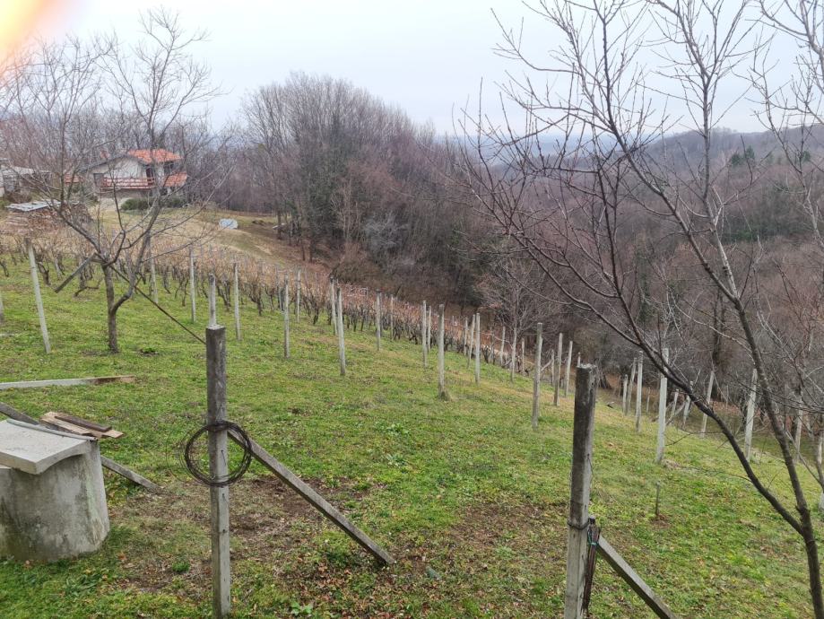 Betonski stupovi za vinograd