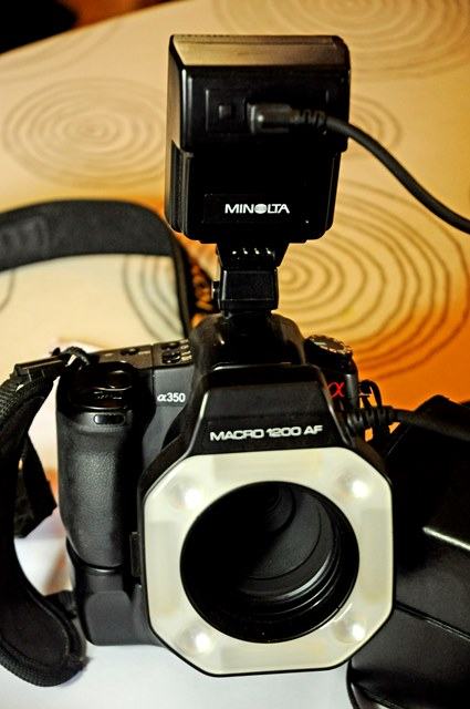 Macro ring bljeskalica Minolta 1200 AF (Sony)