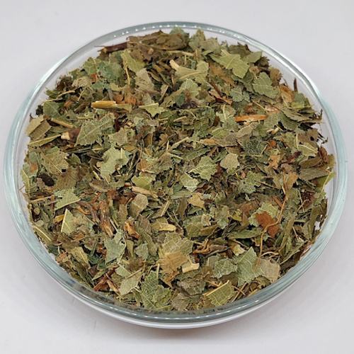 Divlji kesten (Aesculus hippocastanum) list