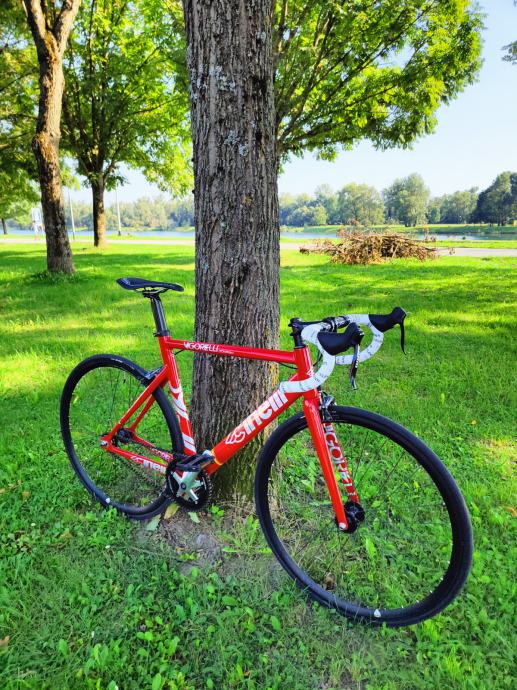 Cinelli Vigorelli Shark 2020