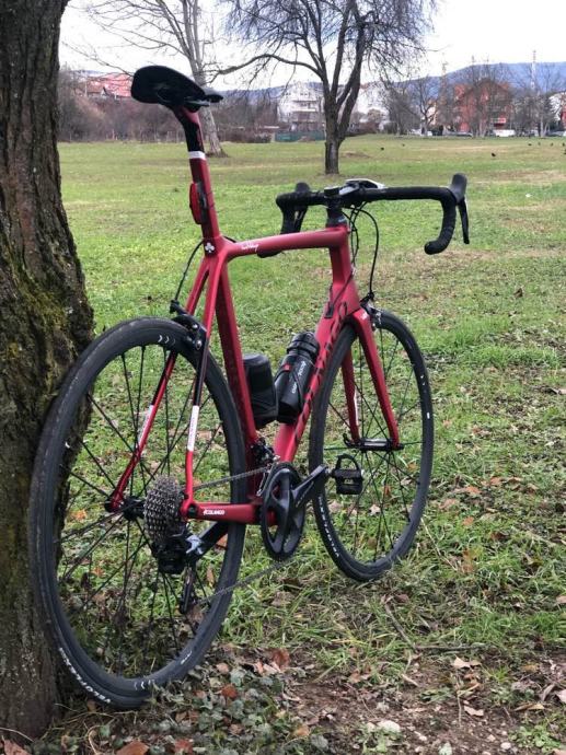Colnago V2R 58s 2019.