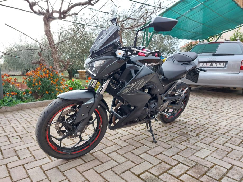 Kawasaki Z 300 300 cm3, 2018 god.