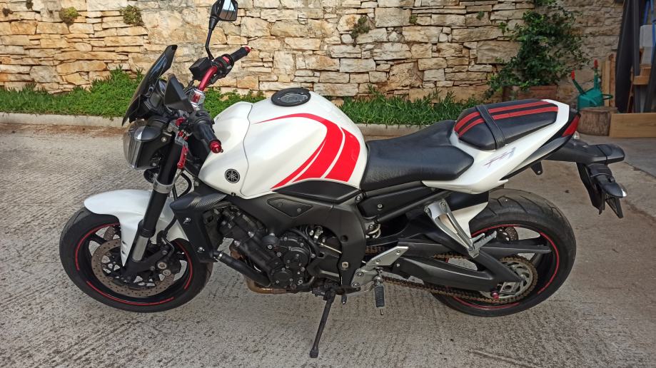 Yamaha FZ1-N, 2006 god.