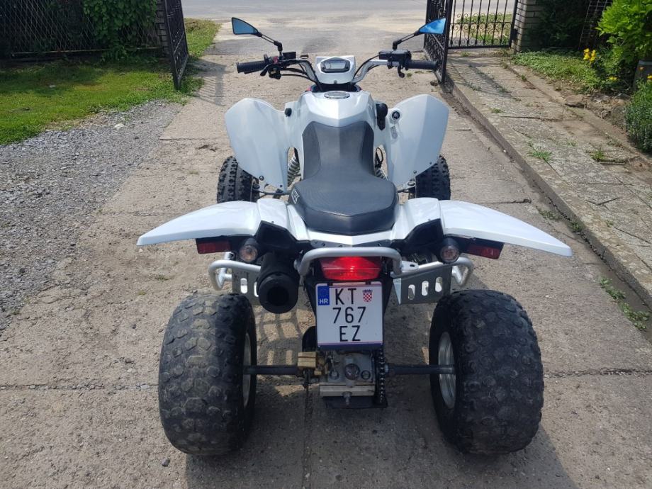 Access Motor Apollo 300 280 cm3, 2009 god.