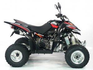 Access Motor Apollo 300 280 cm3, 2012 god.