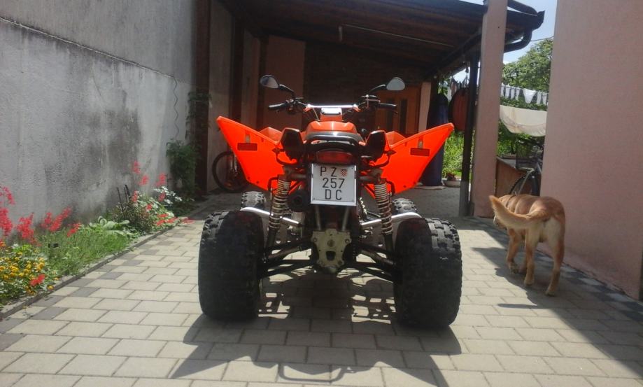 Access Motor Apollo 300 280 cm3, 2008 god.