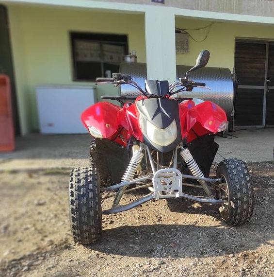 Access 300 za REGISTRACIJU DOSTAVA, 2008 god.