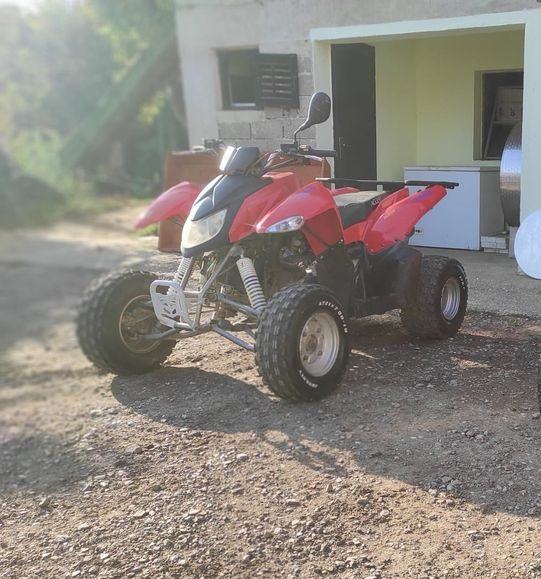 Access 300 za REGISTRACIJU DOSTAVA, 2008 god.