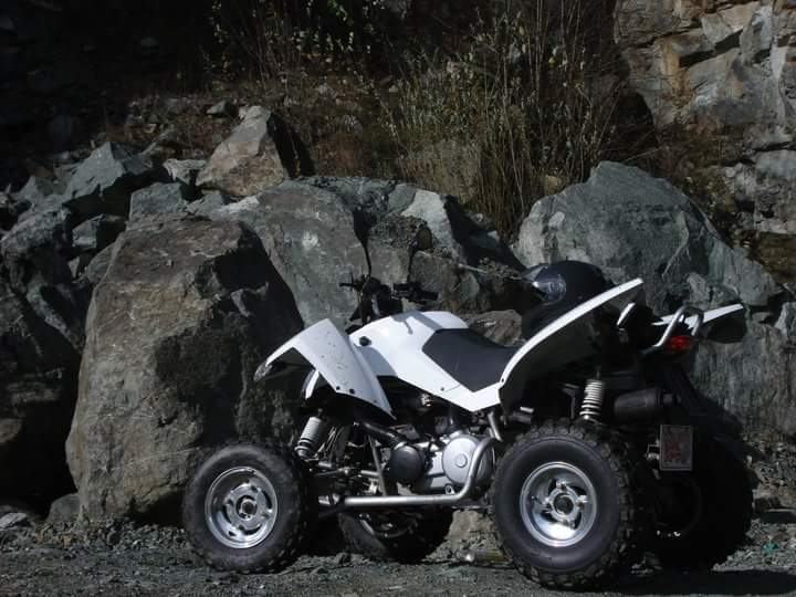 Access Motor Apollo 300 cm3, 2008 god.