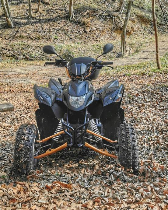 Access Motor Goes 300 cm3, 2007 god.