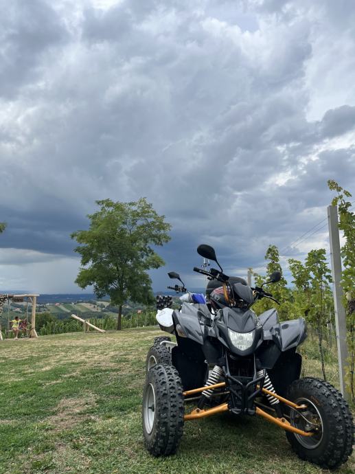 Access Motor Goes 300 cm3, 2007 god.