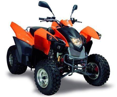 Adly 300 ccm, star 10 mjeseci, pod garancijom, 2008 god.