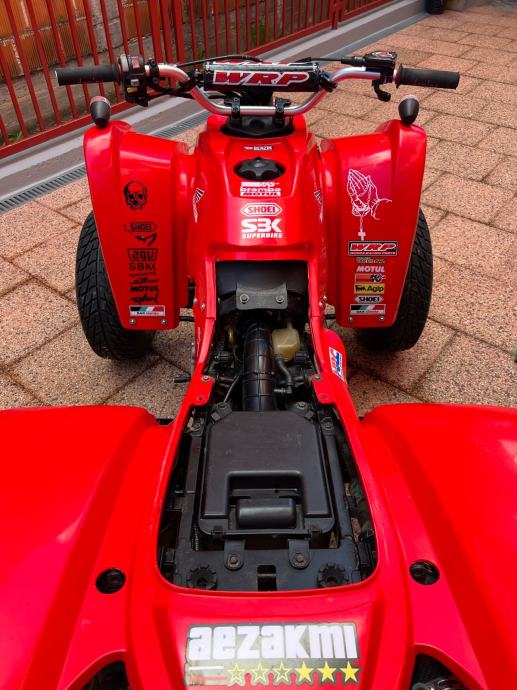 Quad ADLY 300s, 2006 god.