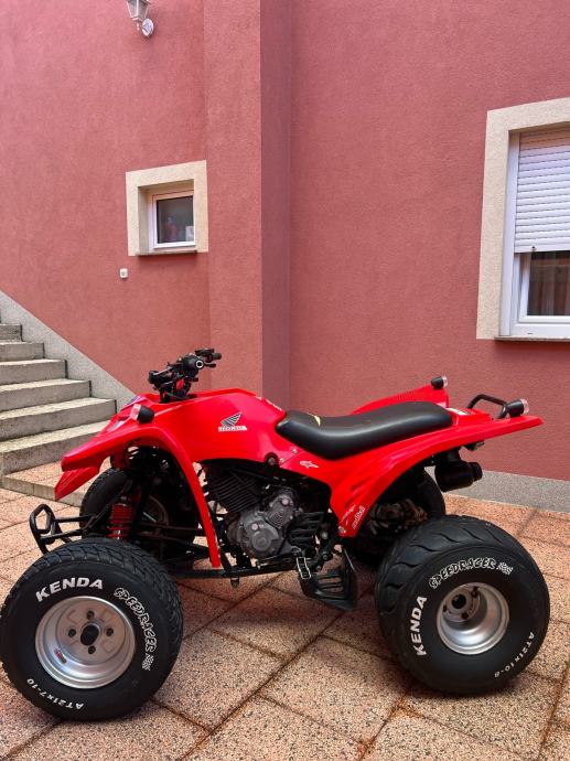 Quad ADLY 300s, 2006 god.