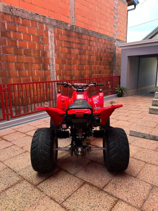 Quad ADLY 300s, 2006 god.