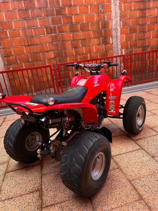 Quad ADLY 300s, 2006 god.