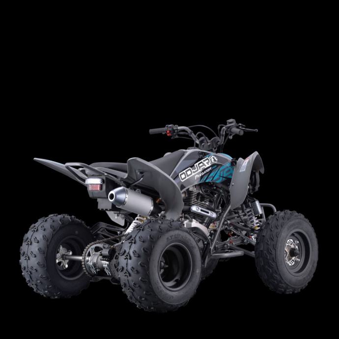 APOLLINO Predator 250, 2025 god.