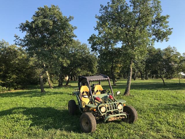 Buggy GS-moon 260 cm3, 2011god., 2011 god.