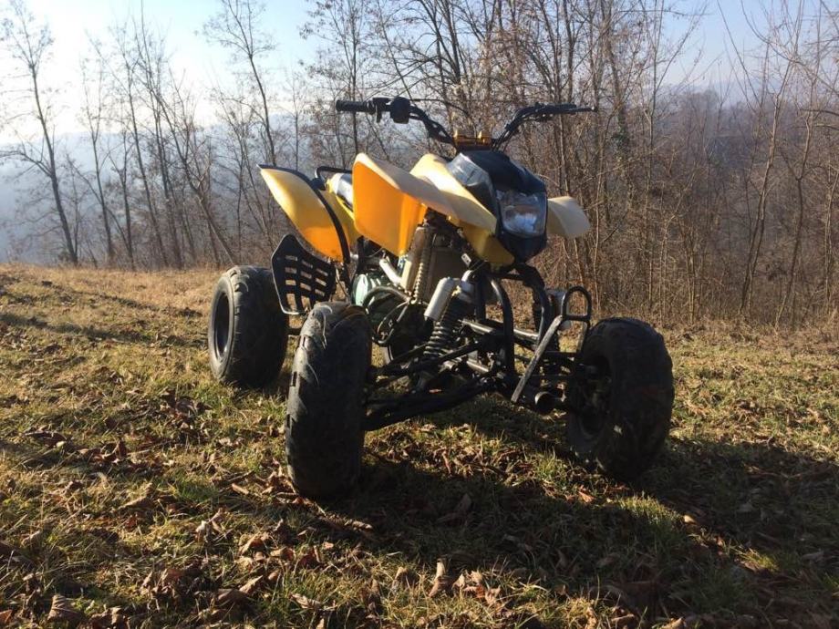 Ostale marke Bashan BS200-7 198 cm3, 2009 god.