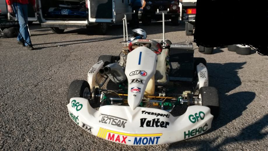 TM Racing Karting 125 cm3, 2010 god.