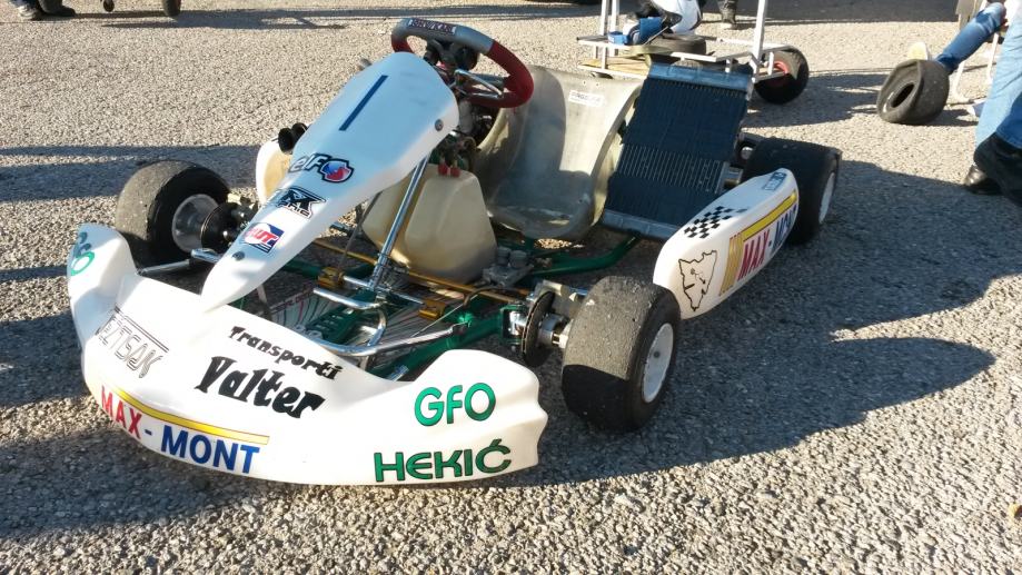 TM Racing Karting 125 cm3, 2010 god.